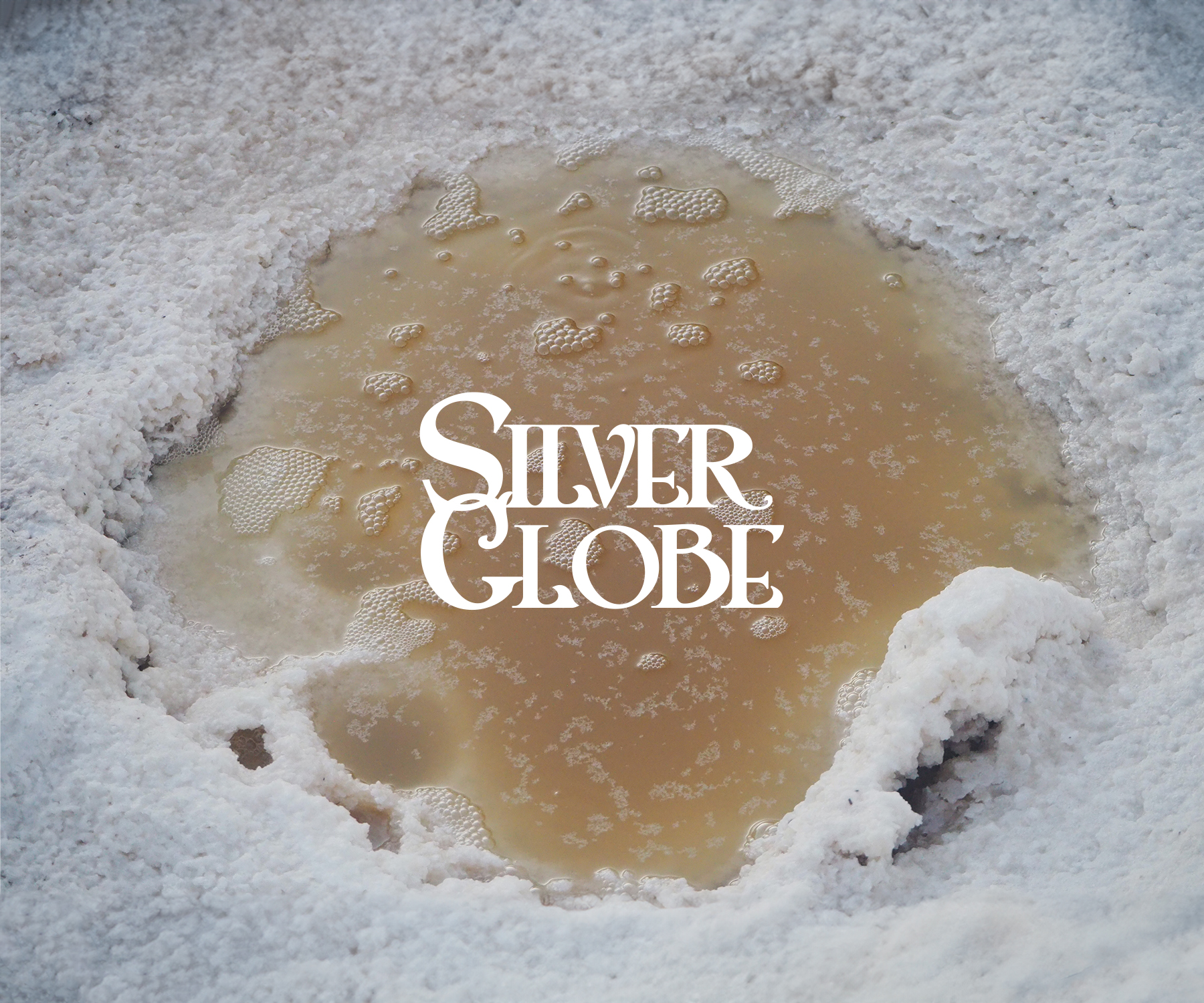 Lara Joy Evans — Enter Silver Globe